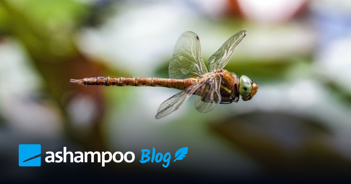 Away with your conscience: Project Dragonfly – Ashampoo Blog